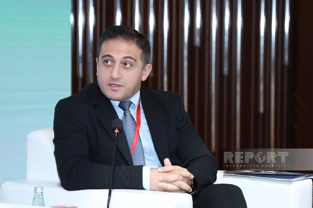 Azerbaijan, Georgia to hold meeting on Black Sea Green Energy Corridor ...