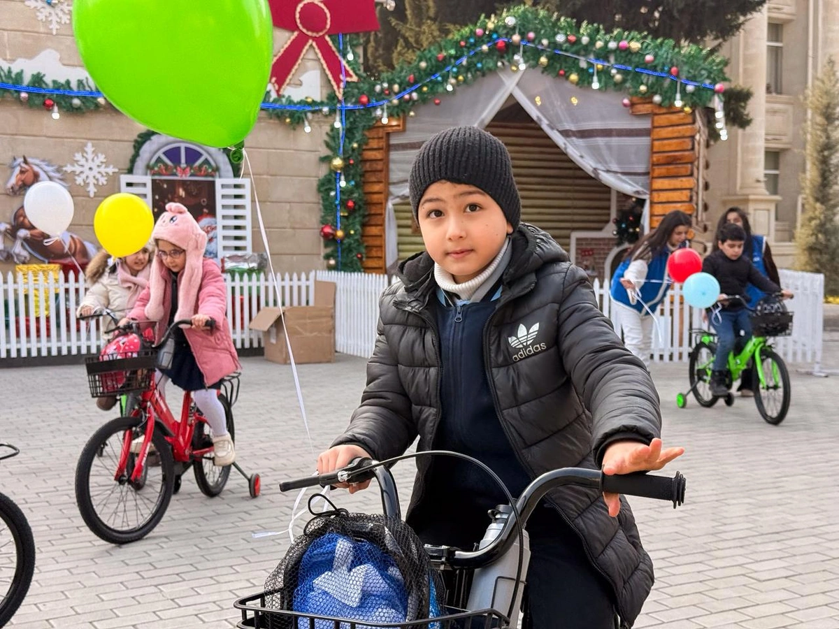 Initiated by Leyla Aliyeva, New Year celebrations for children ...