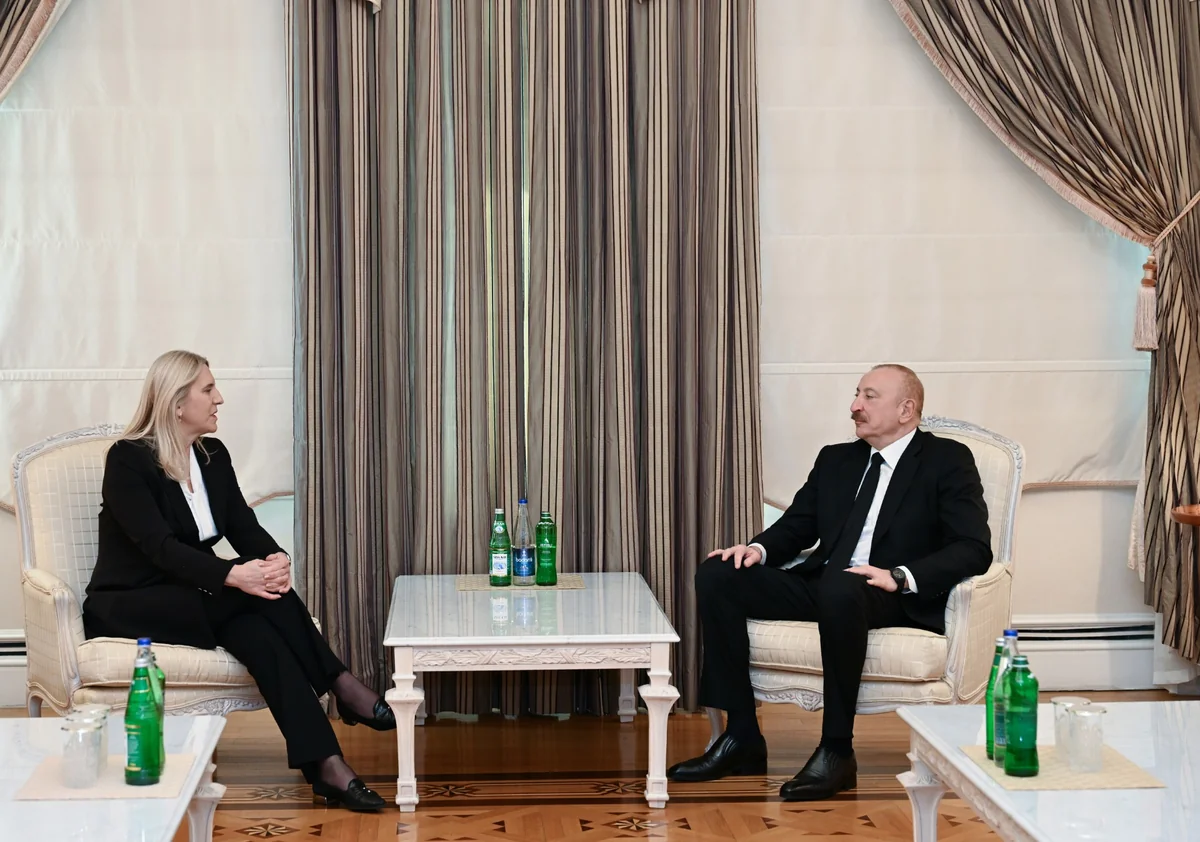 President Ilham Aliyev met with Member of Presidency of Bosnia and ...