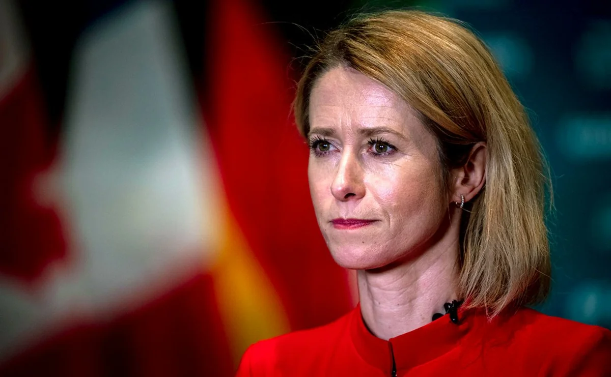 Kallas to discuss Irish alumina supplies to Russia in Dublin amid ...