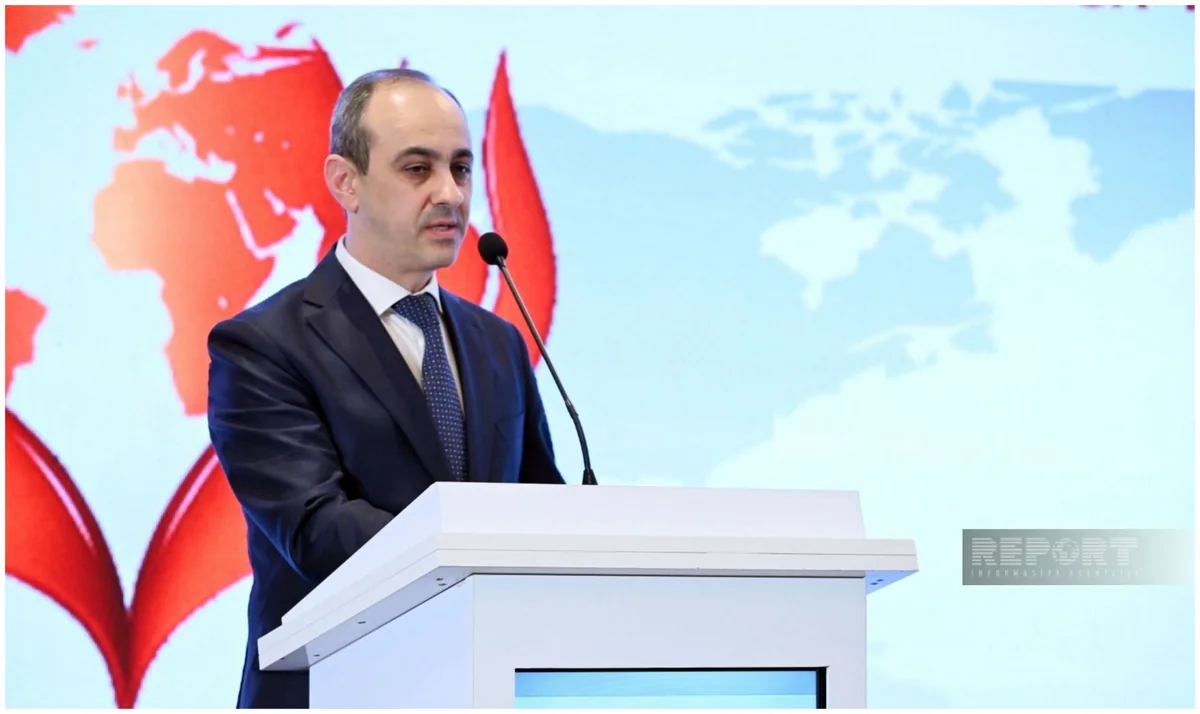 Regional branches of Blood Bank to be established in liberated ...