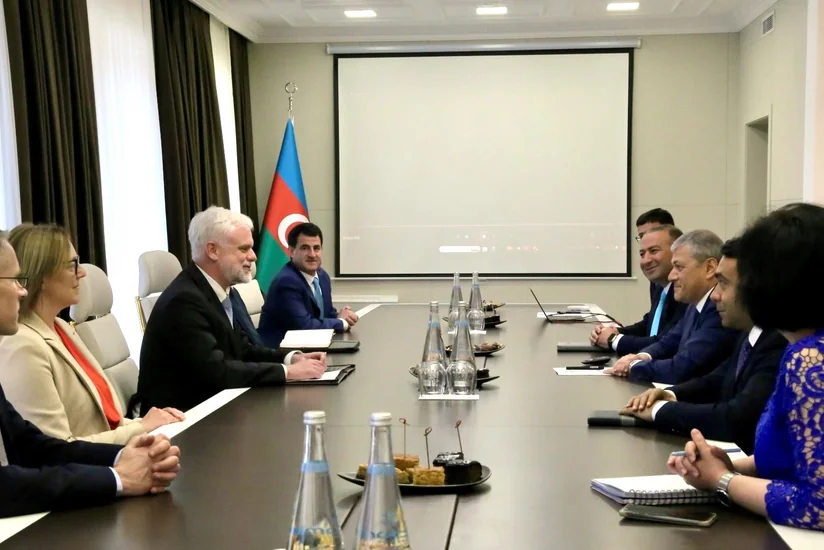 US envoy Mark Libby meets Aydin Karimov | Report.az