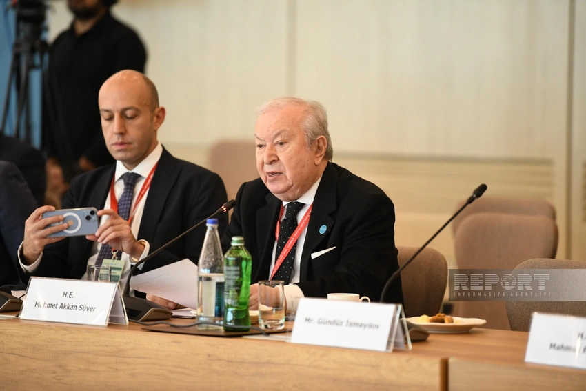 Turkish Professor: As greenery declines, so do moral and ethical values ...