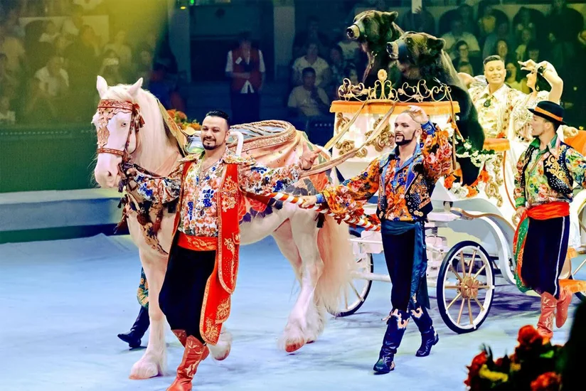 Russian parliament to consider banning animal performances in circuses ...