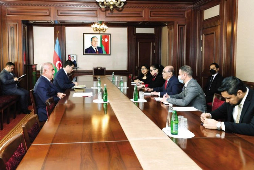 Səfir Hildi Hamid: “Naxçıvanın böyük potensialı İndoneziyada ...