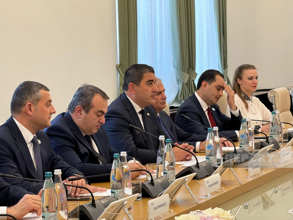 Jeyhun Bayramov, Shalva Papuashvili mull Azerbaijan-Georgia partnership ...