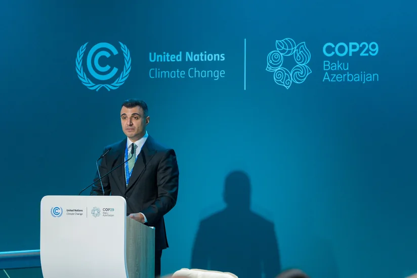 Taleh Kazimov: "Green taxonomy" to provide sustainable foundation for ...