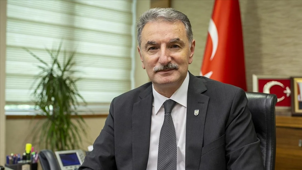 Turkish Grain Council Director: Global wheat prices showing signs of ...