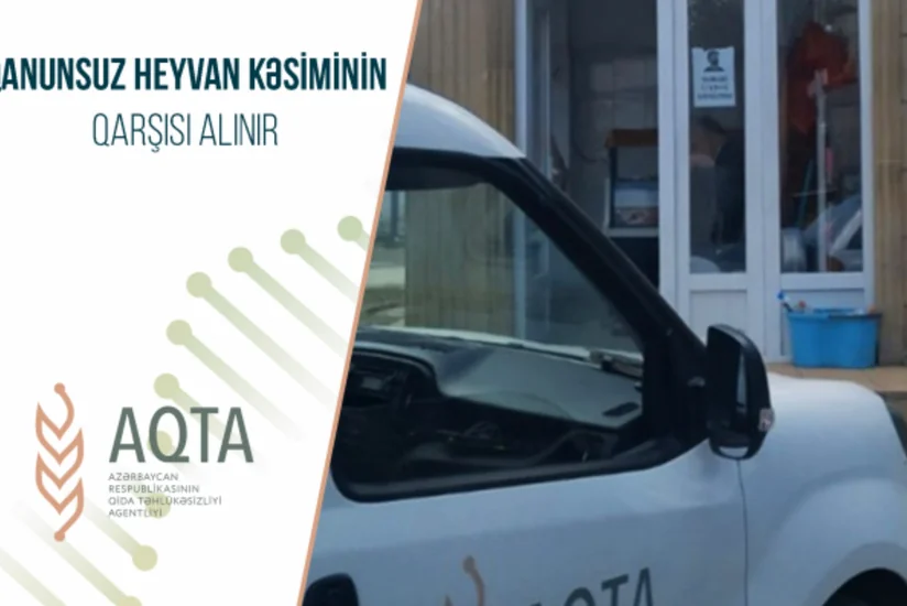 Bakı və Xaçmazda qanunsuz heyvan kəsimi məntəqələri aşkarlanıb | Report.az