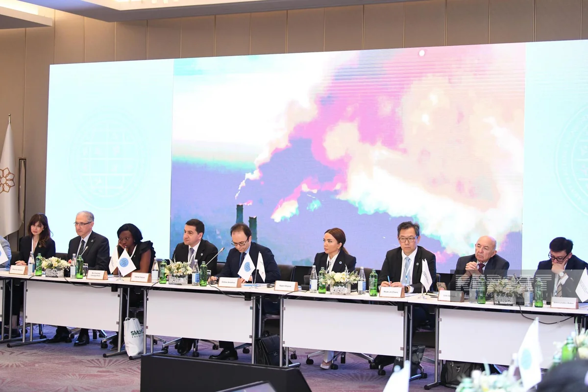 Global South NGO founding conference kicks off in Baku | Report.az
