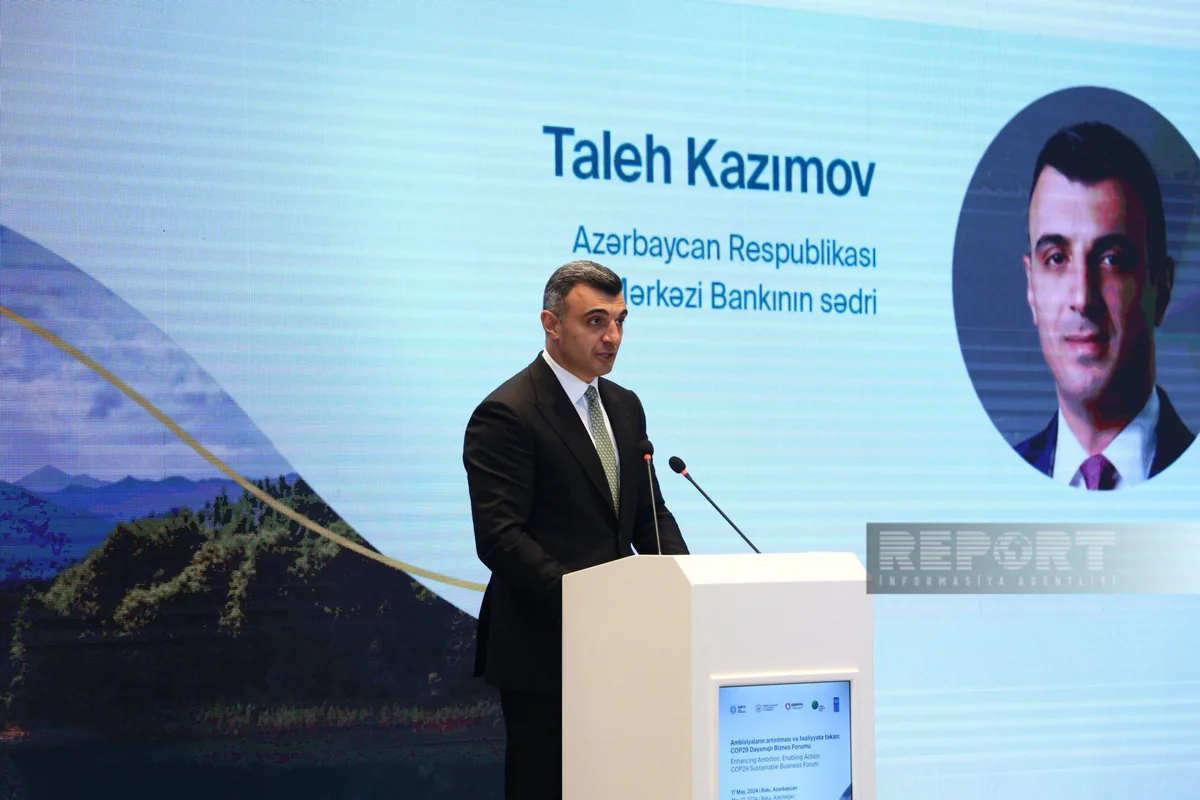 Taleh Kazimov: Private sector must play leading role in adapting ...