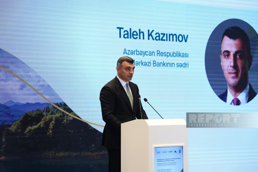 Taleh Kazimov: Private sector must play leading role in adapting ...