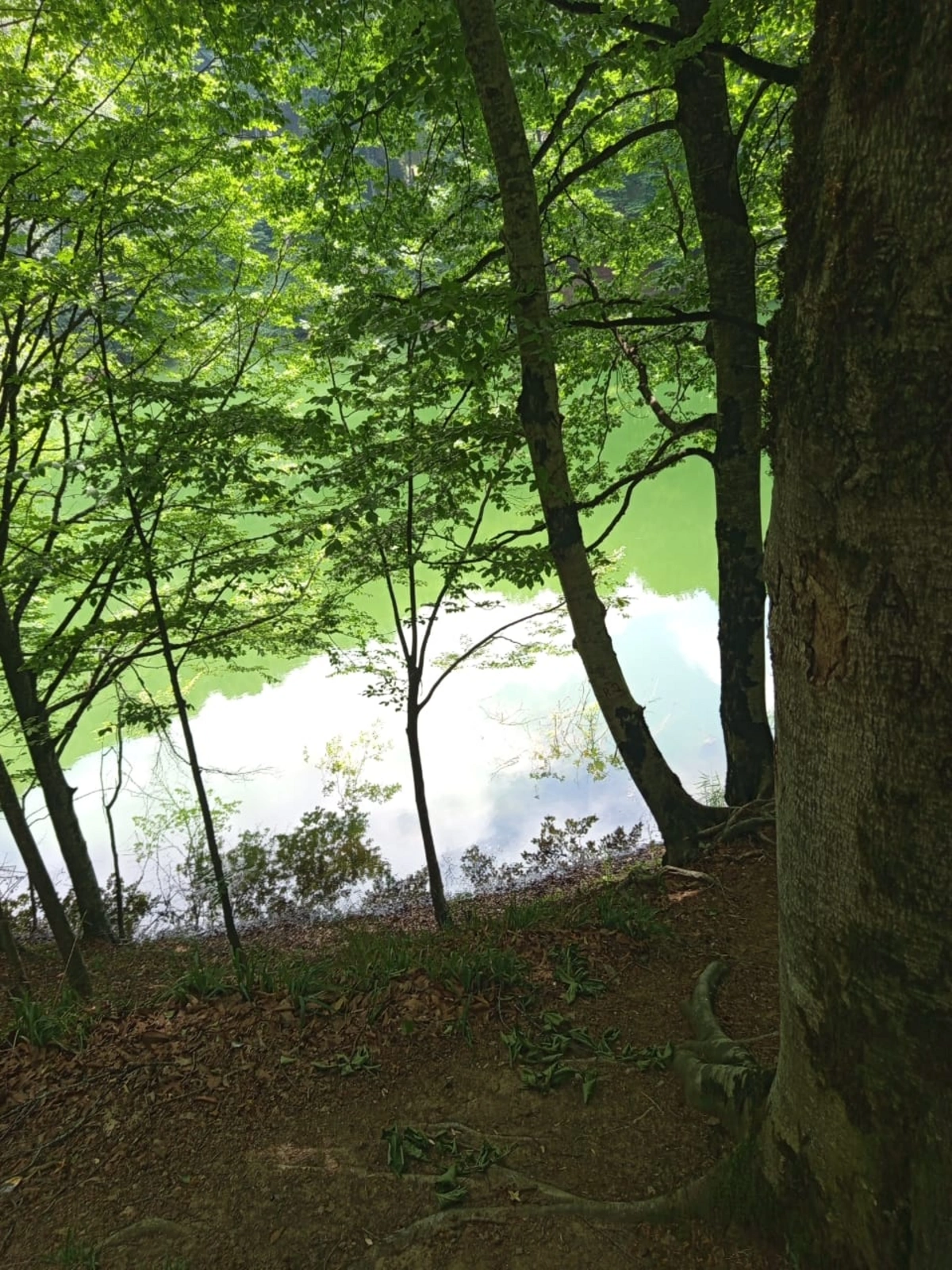 Nazirlik rəsmisi: Qaranohur gölü ərazisində tullantılar yığışdırılıb ...